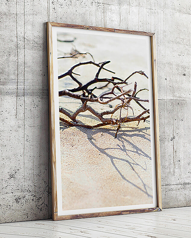 Natural Objects II / Photo Print – Clair Estelle